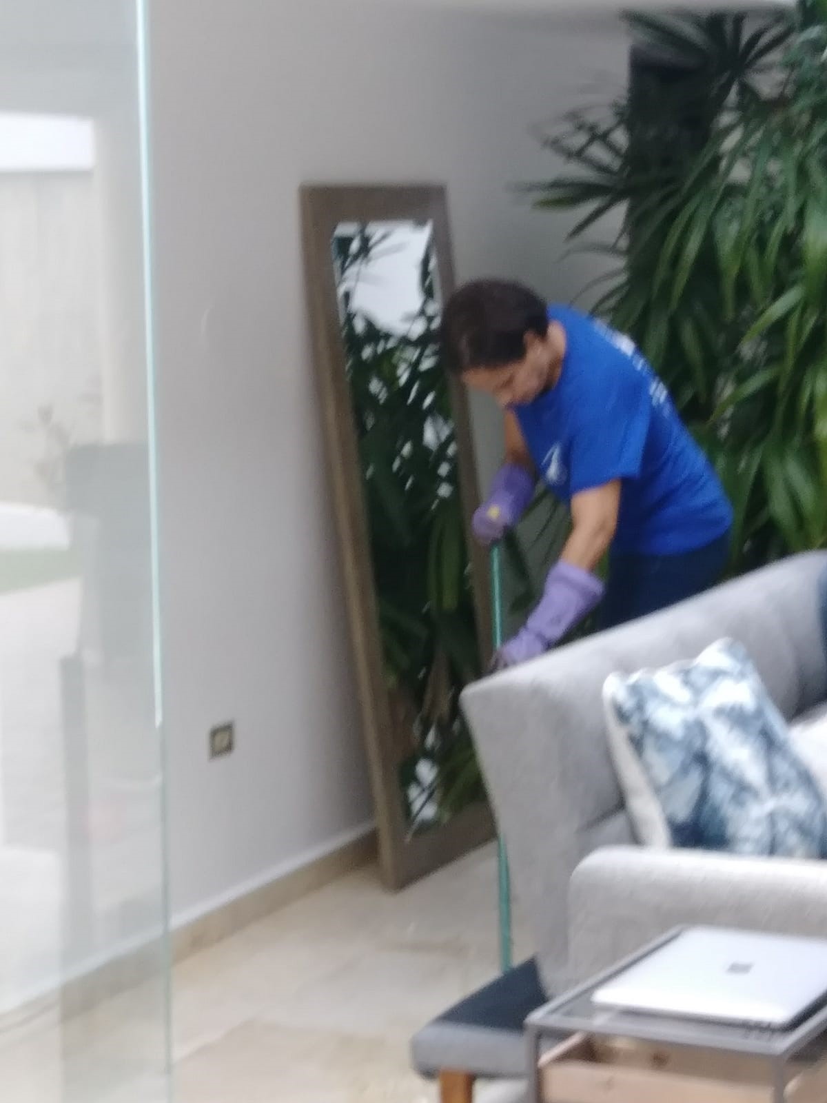 World Cleaning & More | Limpieza / Servicio | Bayamón | Puerto Rico (PR)